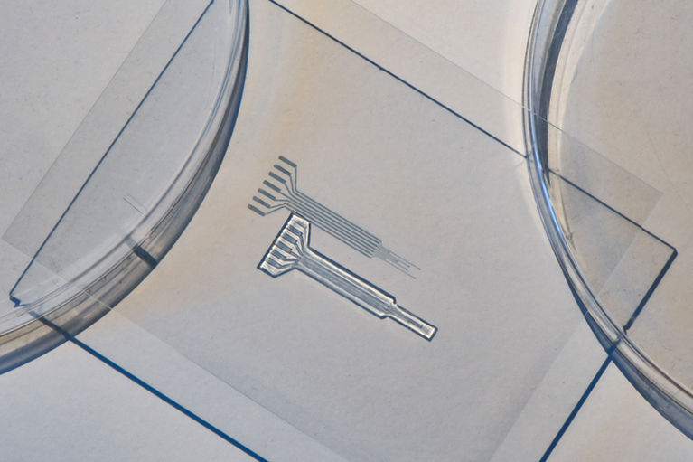 Conductive Polymer Electrode is Metal-Free - Abu Dhabi Global Health Week